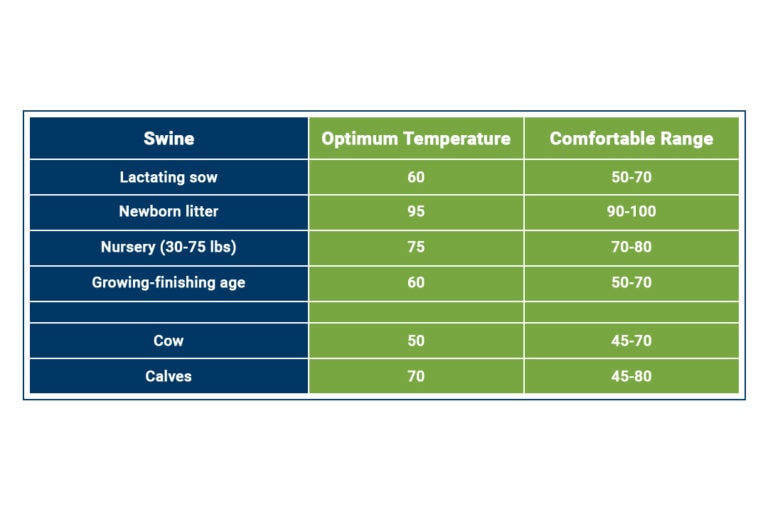 How to Heat a Barn: A Guide for Consumers